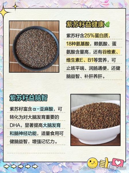 苏子是什么_苏子与紫苏的区别-第1张图片-山城妙识