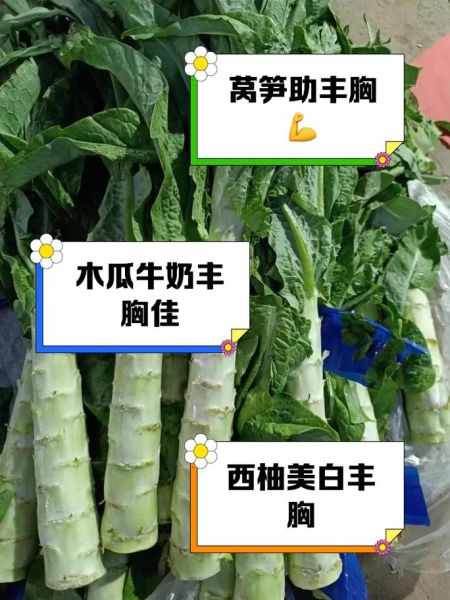 吃什么食物丰胸最快_丰乳的最佳食品有哪些-第3张图片-山城妙识