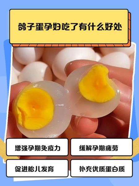 鸽子蛋什么人不能吃_孕妇可以吃吗-第2张图片-山城妙识 鸽子蛋什么人不能吃_孕妇可以吃吗-第2张图片-山城妙识
