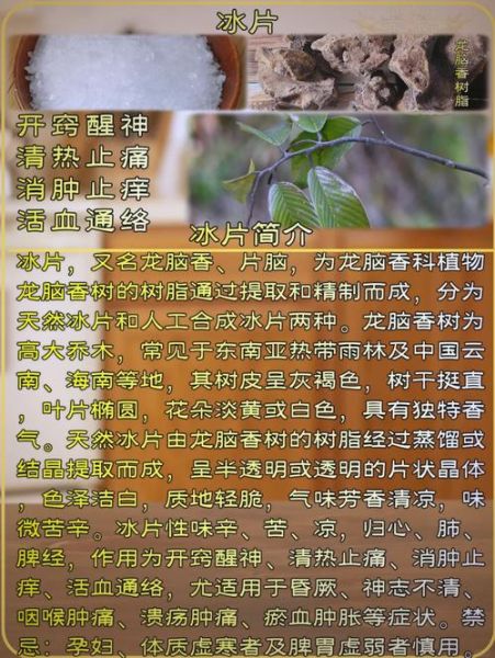 冰片的功效与作用_冰片的禁忌有哪些-第1张图片-山城妙识
