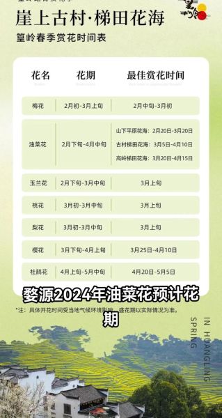 婺源油菜花什么时候开_婺源油菜花最佳观赏时间-第1张图片-山城妙识