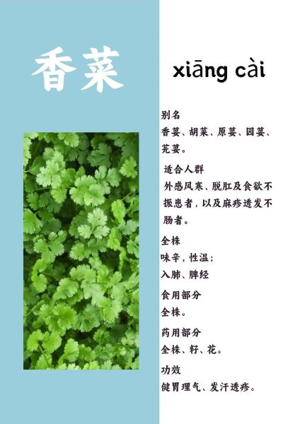女人经常吃香菜好吗_香菜对女性的好处与坏处-第1张图片-山城妙识 女人经常吃香菜好吗_香菜对女性的好处与坏处-第1张图片-山城妙识