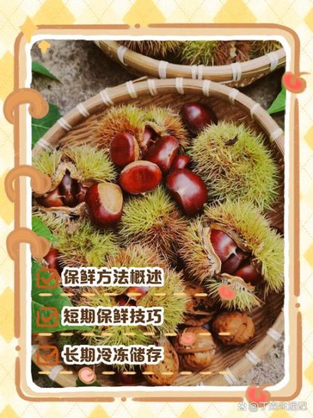 板栗怎么储存不会坏_新鲜板栗可以放多久-第3张图片-山城妙识