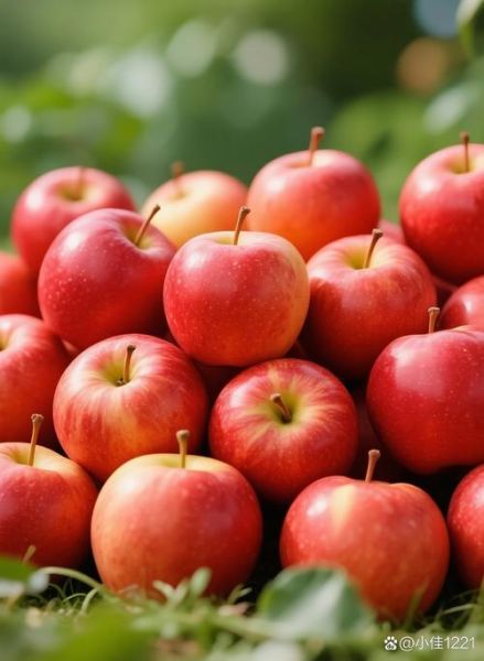 苹果图片大全_如何挑选高清苹果壁纸-第1张图片-山城妙识