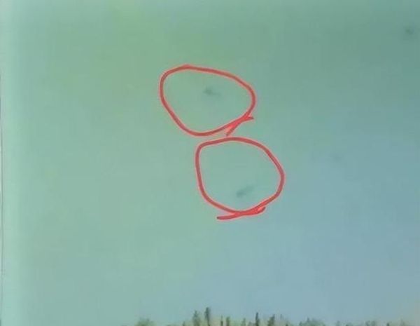 喀纳斯湖水怪真相大白_喀纳斯湖水怪是什么生物-第1张图片-山城妙识 喀纳斯湖水怪真相大白_喀纳斯湖水怪是什么生物-第1张图片-山城妙识