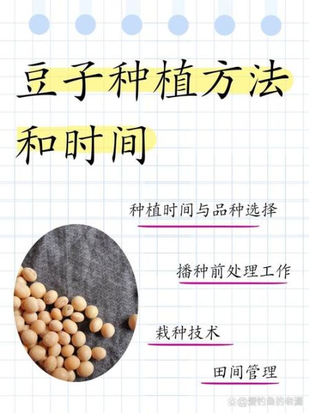 豆子怎么种_豆子多久发芽-第1张图片-山城妙识