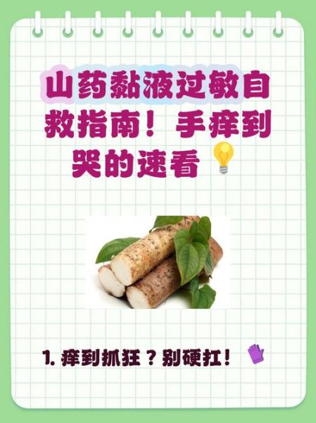 洗山药手痒怎么快速止痒_山药粘液引起手痒怎么办-第1张图片-山城妙识