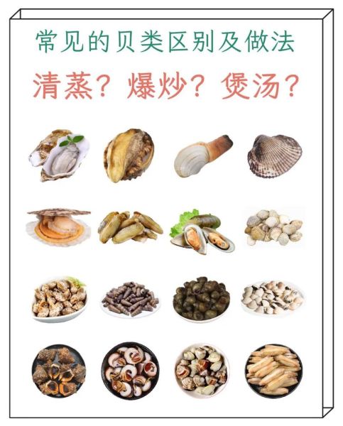 海鲜贝类大全名称图片_家常做法怎么做-第1张图片-山城妙识