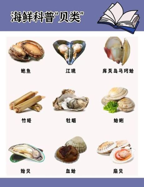 海鲜贝类大全名称图片_家常做法怎么做-第2张图片-山城妙识
