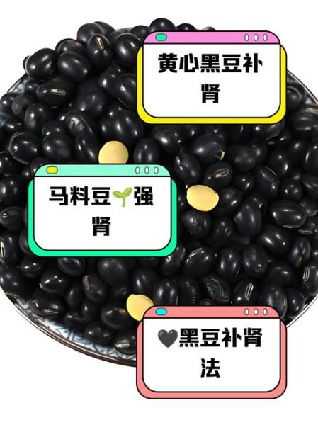 黑豆和黑芸豆的区别_哪个更补肾-第1张图片-山城妙识
