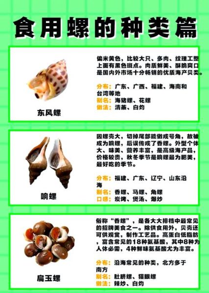 螺类大全名称图片_如何快速识别常见螺类-第1张图片-山城妙识