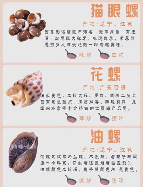 螺类大全名称图片_如何快速识别常见螺类-第3张图片-山城妙识