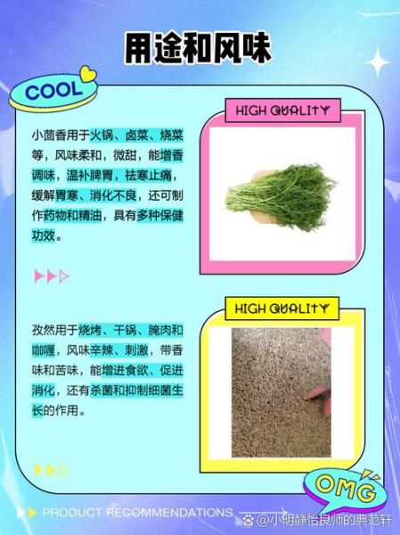 孜然和茴香是一样的吗_区别与用途全解析-第1张图片-山城妙识