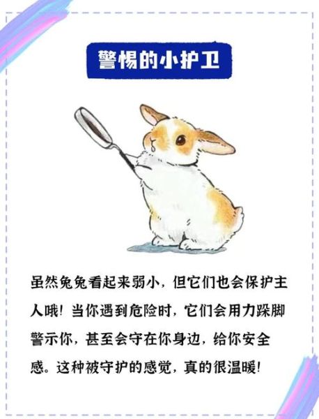 兔子多久认主人_怎么判断兔子认主了-第2张图片-山城妙识