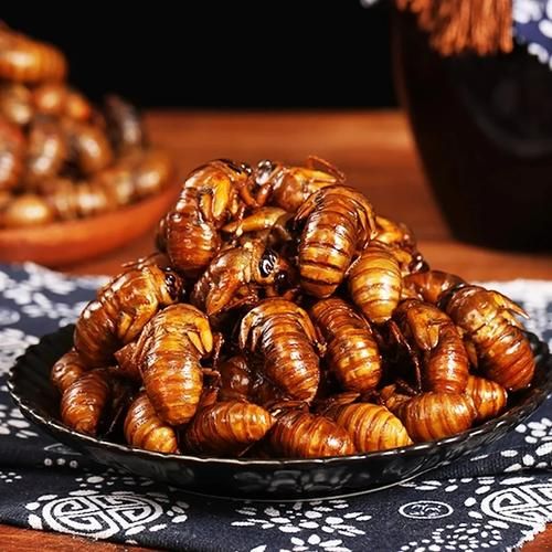 知了猴怎么保存新鲜_知了猴放冰箱能活多久-第2张图片-山城妙识 知了猴怎么保存新鲜_知了猴放冰箱能活多久-第2张图片-山城妙识