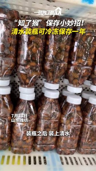 知了猴怎么保存新鲜_知了猴放冰箱能活多久-第1张图片-山城妙识 知了猴怎么保存新鲜_知了猴放冰箱能活多久-第1张图片-山城妙识