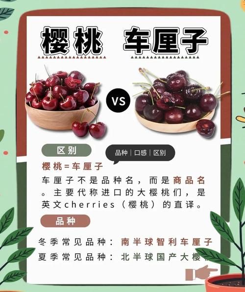 车厘子功效与作用禁忌_什么人不能吃-第1张图片-山城妙识