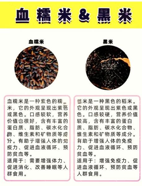血糯米和黑米哪个更有营养_区别与功效对比-第1张图片-山城妙识