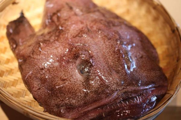 鮟鱇鱼的营养价值_鮟鱇鱼的功效与作用-第3张图片-山城妙识