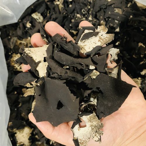 石耳多少钱一斤_石耳价格行情-第3张图片-山城妙识 石耳多少钱一斤_石耳价格行情-第3张图片-山城妙识