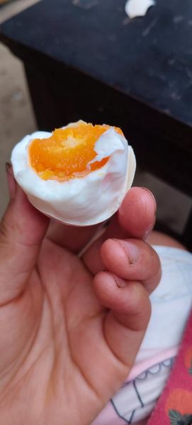 快速腌咸鸡蛋的方法_咸鸡蛋多久能吃-第2张图片-山城妙识