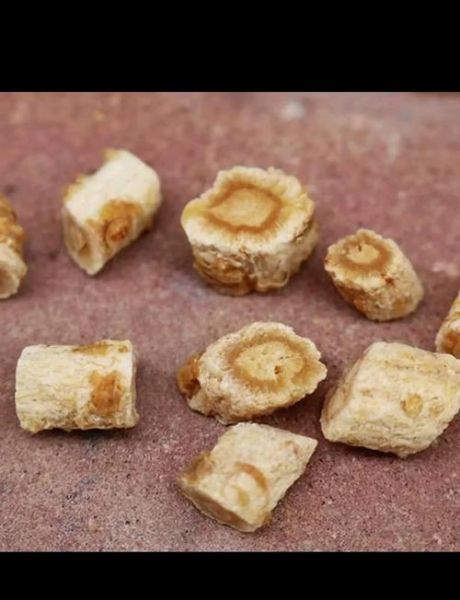 北沙参长什么样_北沙参图片怎么鉴别真假-第1张图片-山城妙识