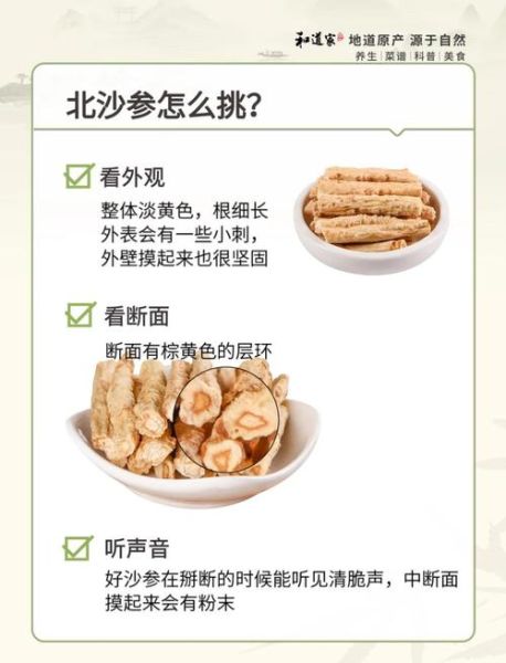 北沙参长什么样_北沙参图片怎么鉴别真假-第2张图片-山城妙识