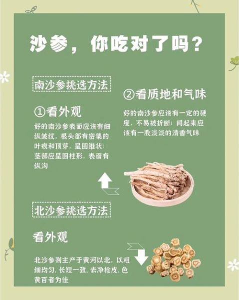 北沙参长什么样_北沙参图片怎么鉴别真假-第3张图片-山城妙识