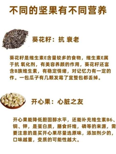 坚果包括哪些食物_常见坚果种类大全-第1张图片-山城妙识