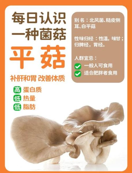 平菇的功效与作用_平菇怎么吃最营养-第1张图片-山城妙识