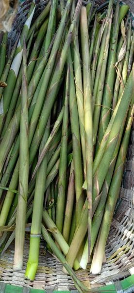 水笋的功效与作用_水笋的禁忌有哪些-第3张图片-山城妙识