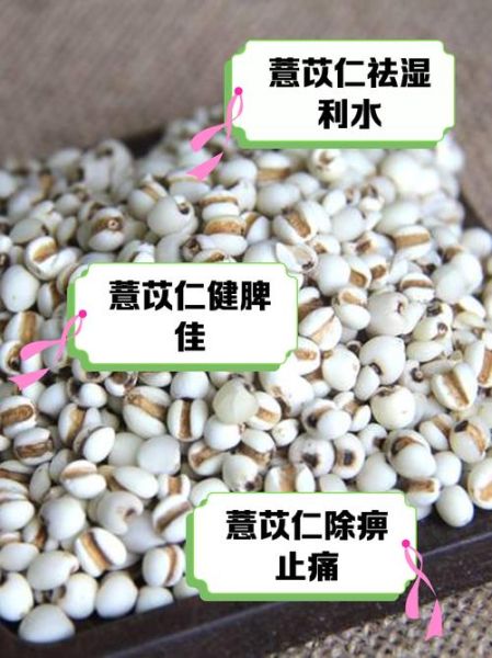 小薏米有什么功效与作用_怎么吃才祛湿健脾-第1张图片-山城妙识