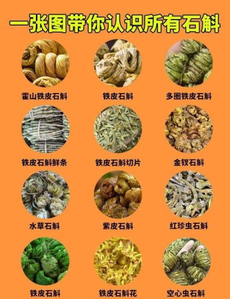 石斛能治什么病_石斛的功效与作用-第3张图片-山城妙识