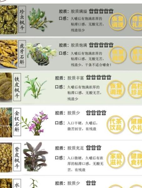 石斛能治什么病_石斛的功效与作用-第1张图片-山城妙识