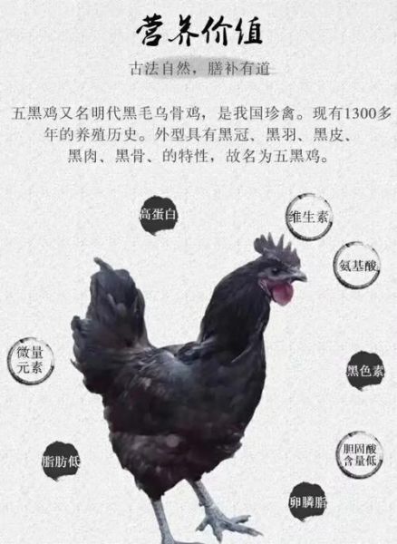 乌鸡蛋的功效与作用_乌鸡蛋适合什么人吃-第2张图片-山城妙识