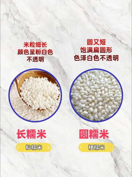 嘉兴粽子用的什么糯米_圆糯米还是长糯米-第1张图片-山城妙识