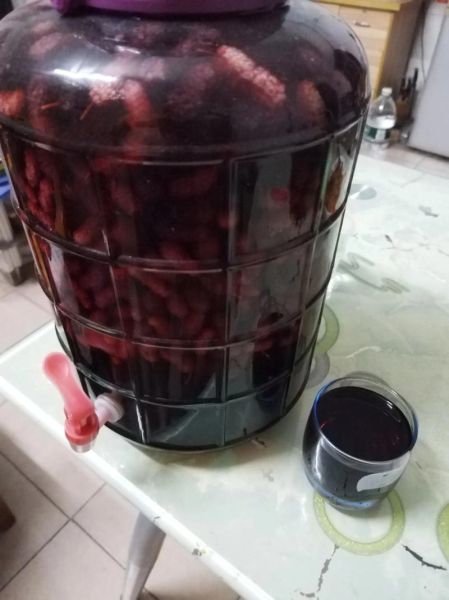 自制桑葚酒能放多久_桑葚酒怎么保存-第3张图片-山城妙识