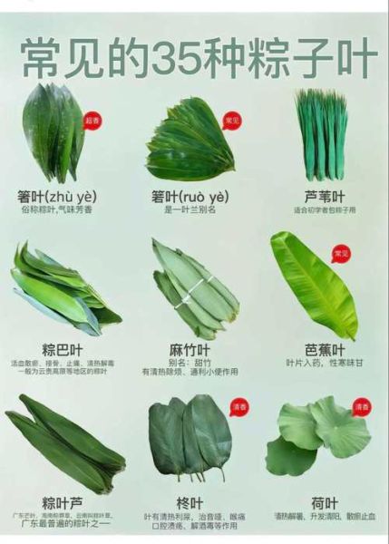 包粽子怎么包_粽子叶怎么处理-第3张图片-山城妙识