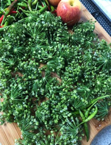 自制韭菜花怎么保存_韭菜花酱做法窍门-第1张图片-山城妙识