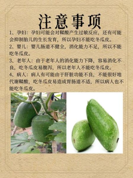 冬瓜皮泡水喝的副作用_哪些人不能吃-第3张图片-山城妙识