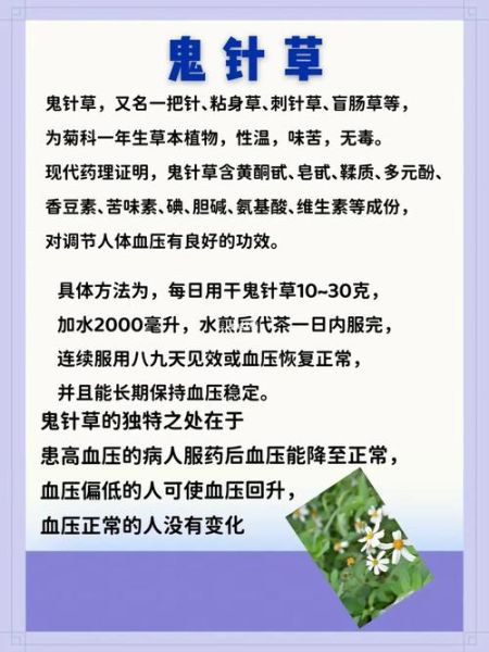 降血压最快的偏方大全_高血压自然疗法有哪些-第1张图片-山城妙识 降血压最快的偏方大全_高血压自然疗法有哪些-第1张图片-山城妙识