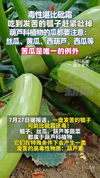 瓠子苦能吃吗_瓠子苦味有毒吗-第1张图片-山城妙识 瓠子苦能吃吗_瓠子苦味有毒吗-第1张图片-山城妙识