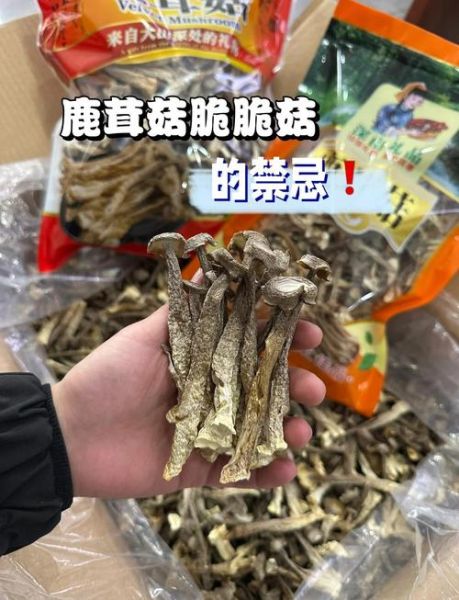 蘑菇的功效与作用禁忌_蘑菇什么人不能吃-第1张图片-山城妙识