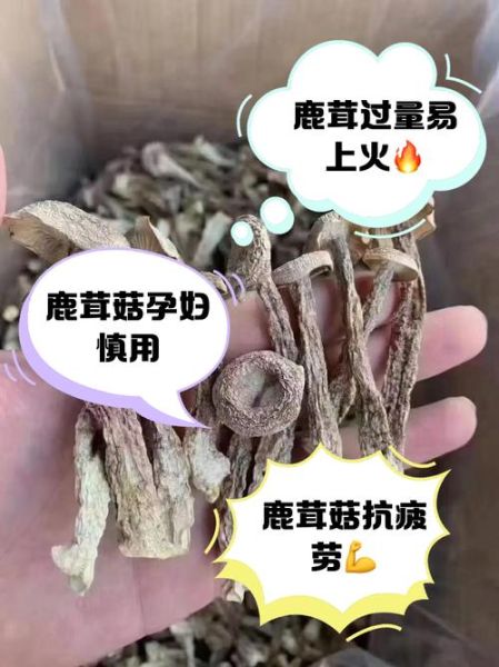 蘑菇的功效与作用禁忌_蘑菇什么人不能吃-第2张图片-山城妙识
