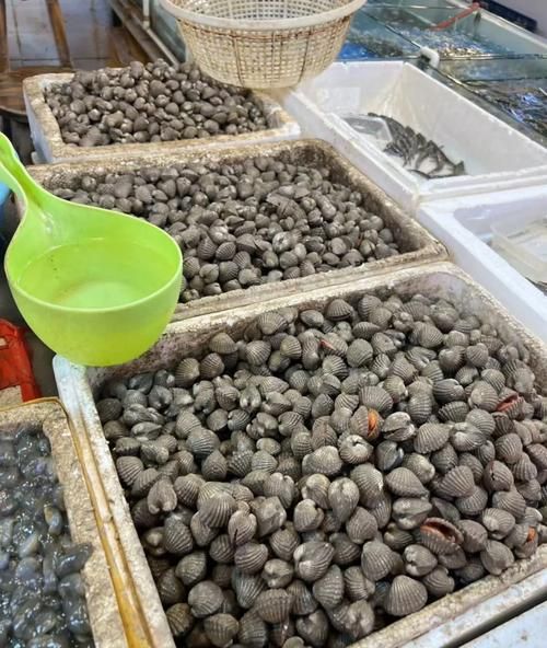 血蛤的功效与作用禁忌_血蛤什么人不能吃-第1张图片-山城妙识 血蛤的功效与作用禁忌_血蛤什么人不能吃-第1张图片-山城妙识