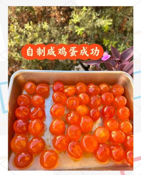 盐水鸡蛋怎么做_盐水鸡蛋要泡多久-第2张图片-山城妙识 盐水鸡蛋怎么做_盐水鸡蛋要泡多久-第2张图片-山城妙识