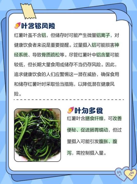 红薯叶抗癌还是致癌_红薯叶到底能不能吃-第3张图片-山城妙识