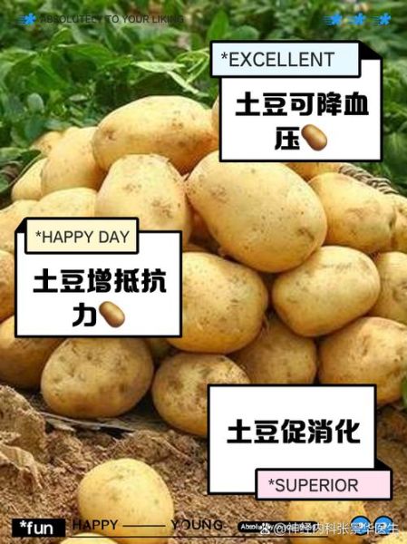 土豆能降血压吗_土豆的药用价值有哪些-第3张图片-山城妙识