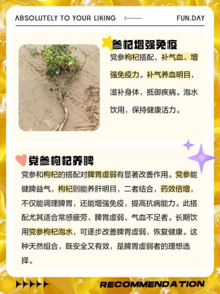 党参泡水喝的功效与作用_党参泡水适合什么人喝-第2张图片-山城妙识 党参泡水喝的功效与作用_党参泡水适合什么人喝-第2张图片-山城妙识