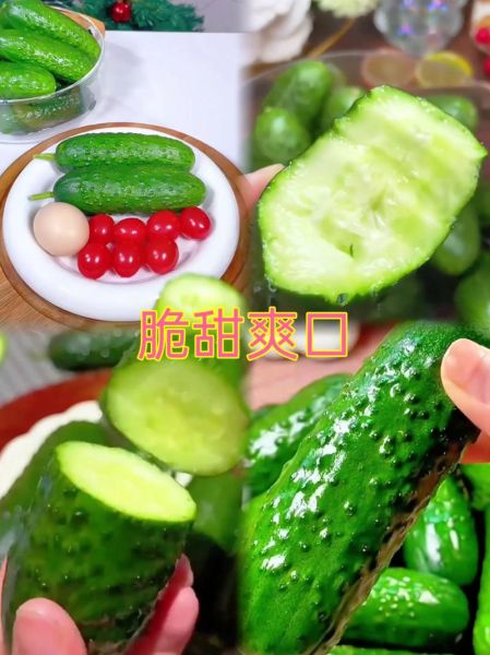 什么时候吃黄瓜最好_晚上吃黄瓜会胖吗-第3张图片-山城妙识 什么时候吃黄瓜最好_晚上吃黄瓜会胖吗-第3张图片-山城妙识